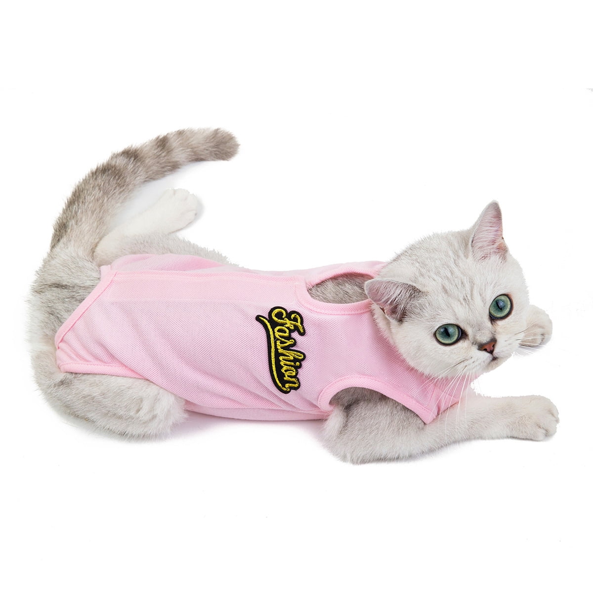Protective Cat Recovery Garment for Abdominal Wounds - Post-Surgery ...