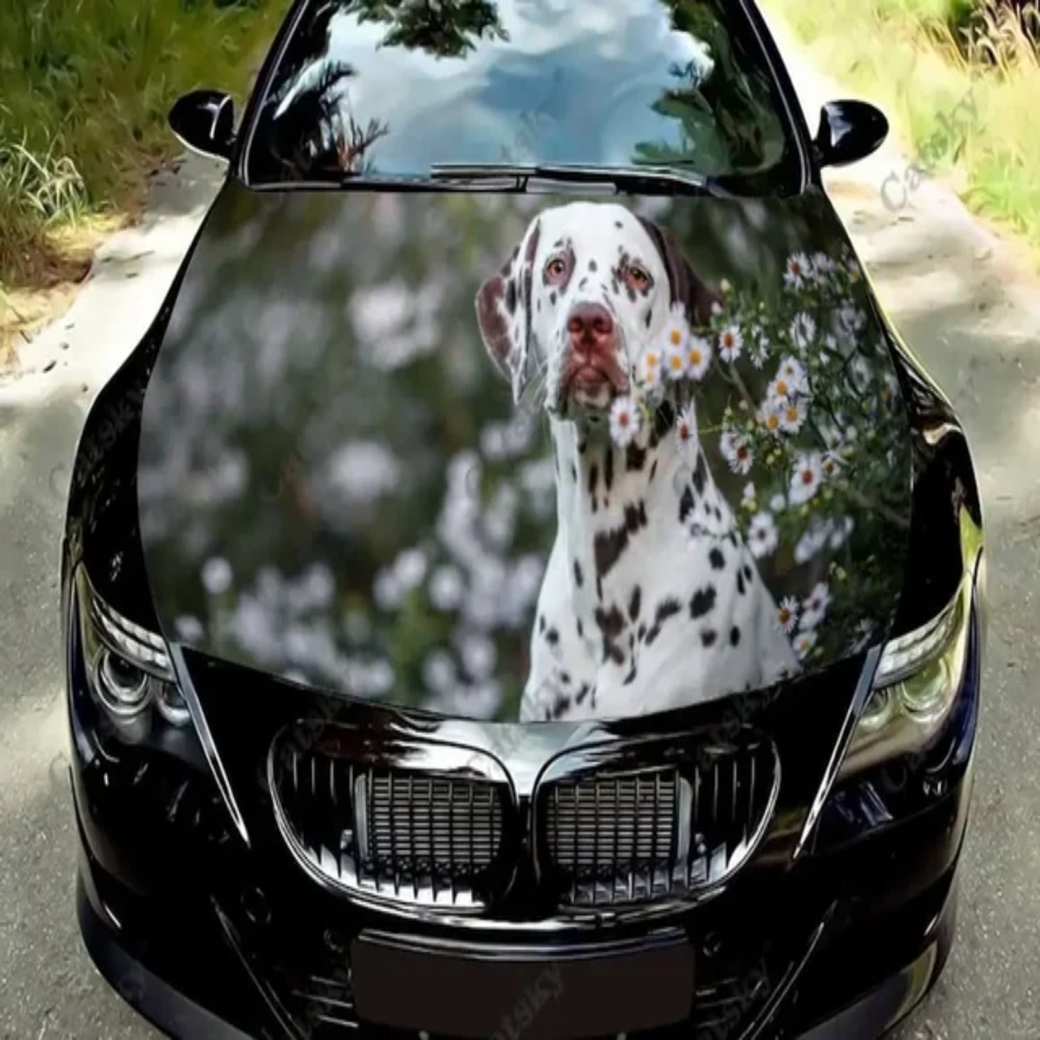 Protective Dalmatian Car Engine Cover Vinyl Wrap Stickers Decals Film ...