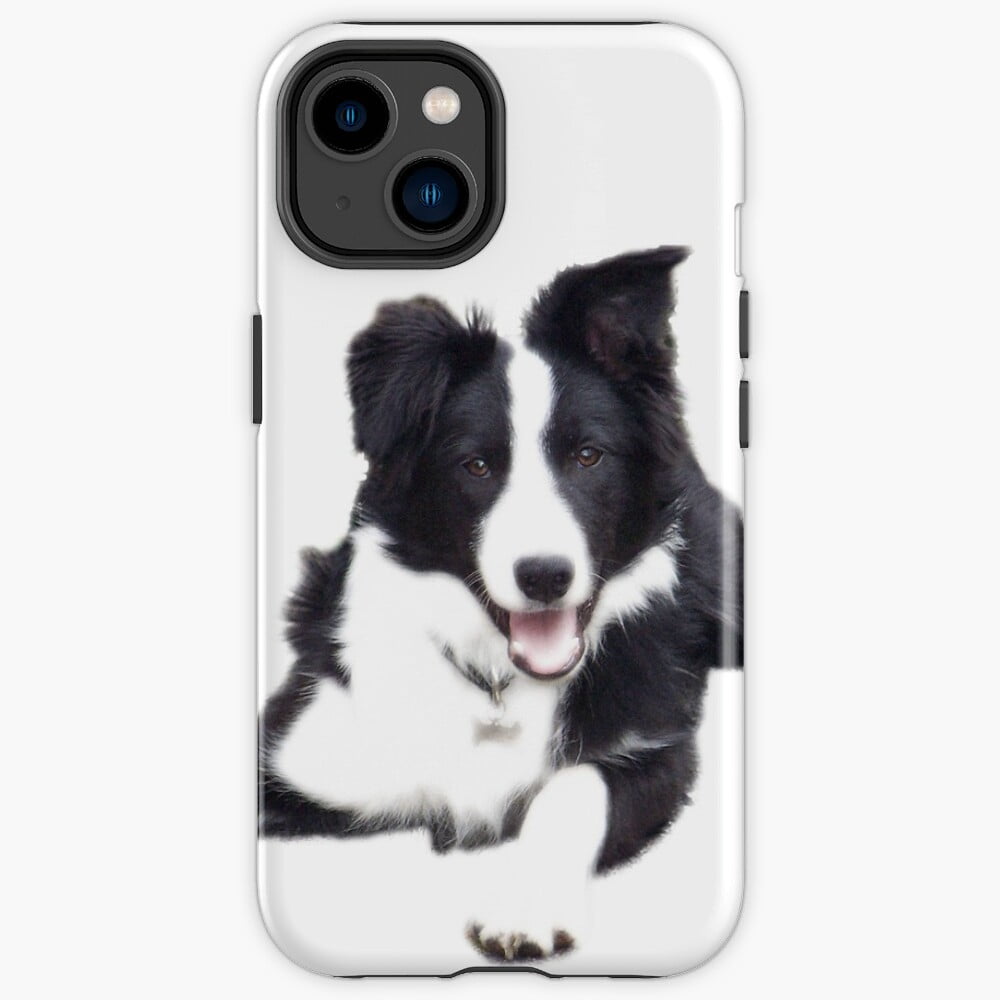 Protective iPhone Case Border Collie On A White Background Phone Case ...