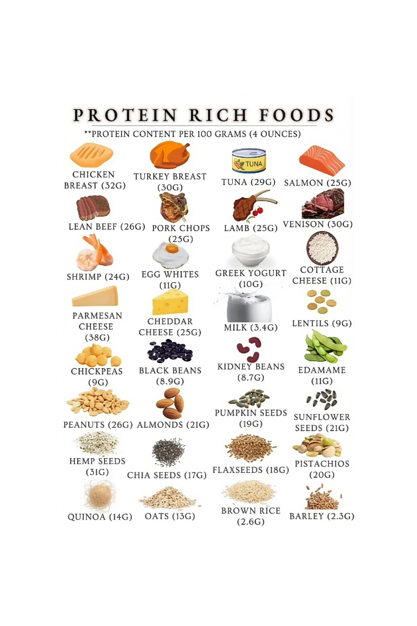 Protein Rich Foods Poster High Protein Nutrition Guide Chart for Muscle ...