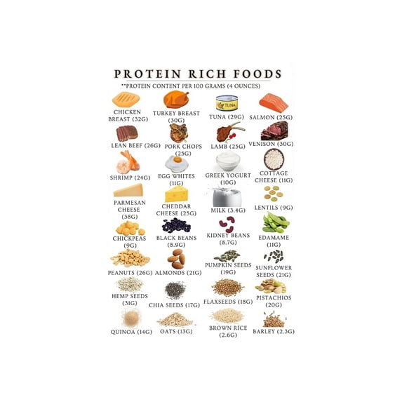 Protein Rich Foods Poster High Protein Nutrition Guide Chart for Muscle ...