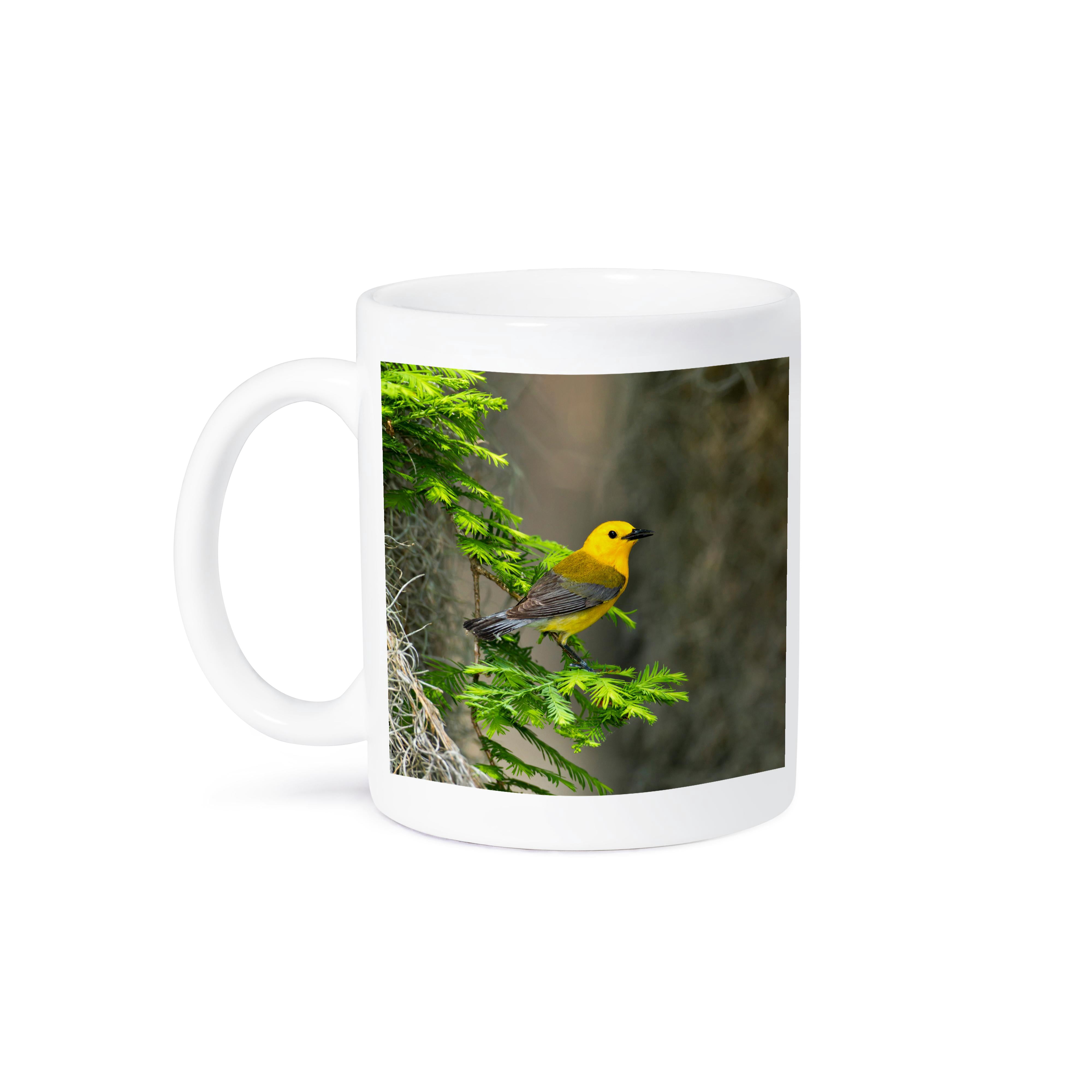 Prothonotary Warbler Male On Breeding Territory, Texas, Usa, 11oz Mug ...