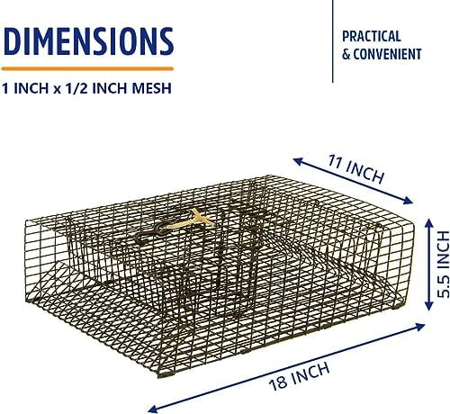 Protoco - CT18R - 11” x 18” (½” x 1” Mesh) - Crawfish and Shrimp Trap ...