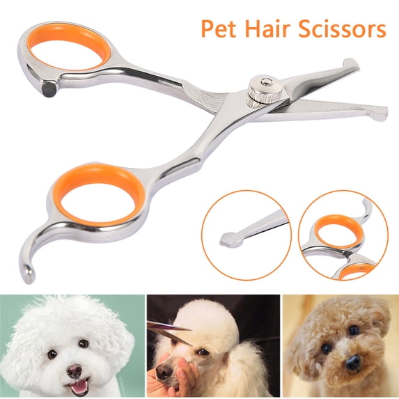 Protoiya Pet Grooming Scissors with Round Tip Professional Hair ...