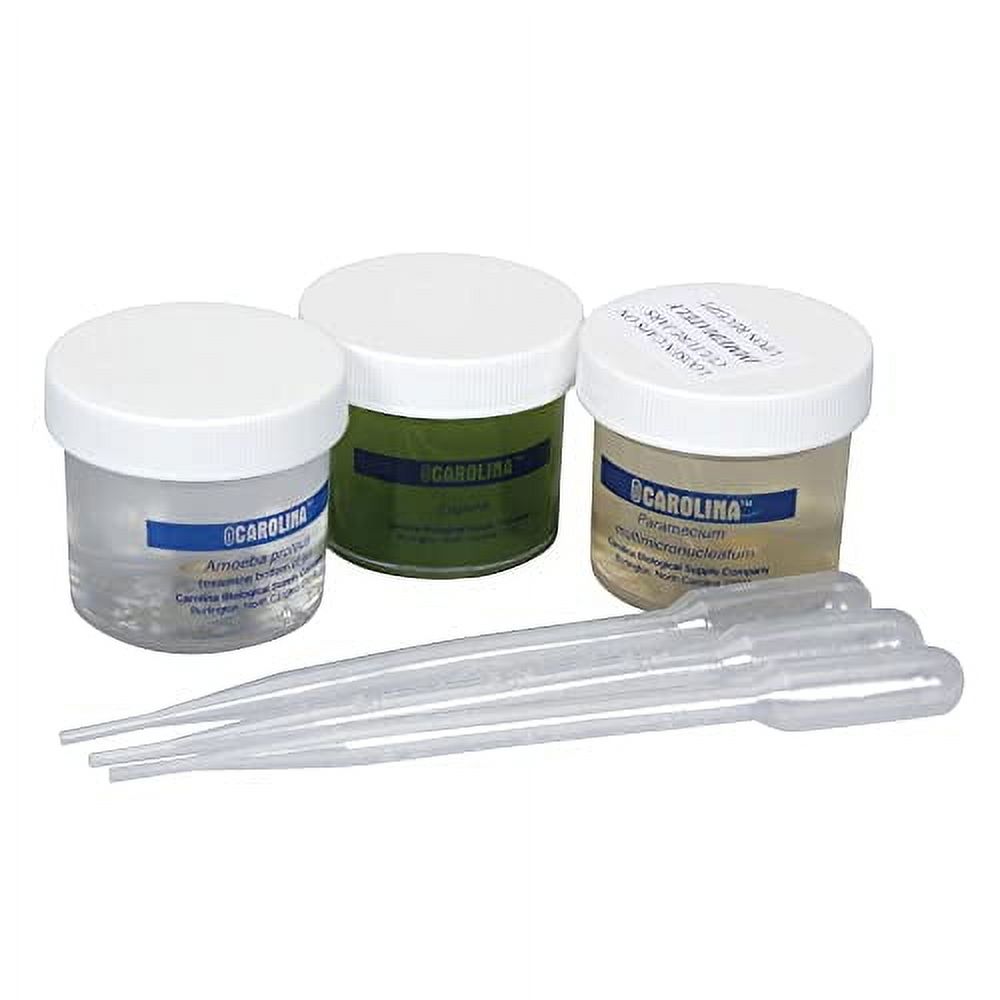 Protozoa Set, Living L8 - Walmart.com