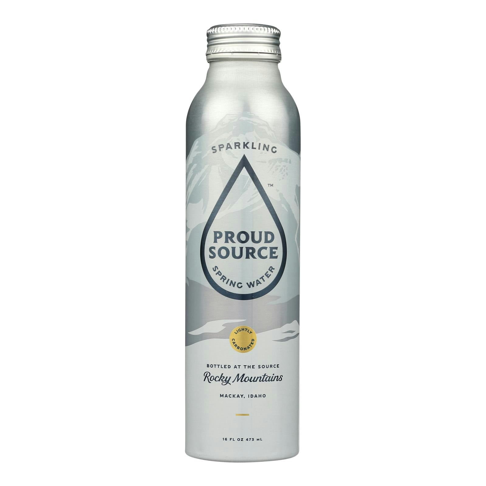 Proud Source Sparkling Natural Spring Water 16 fl oz (Pack of 24 ...