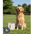 Provecta Advanced Flea and Tick Drops for Dogs Over 55 lb, Kills and ...