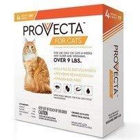 Provecta Dog Flea and Tick in Dogs - Walmart.com