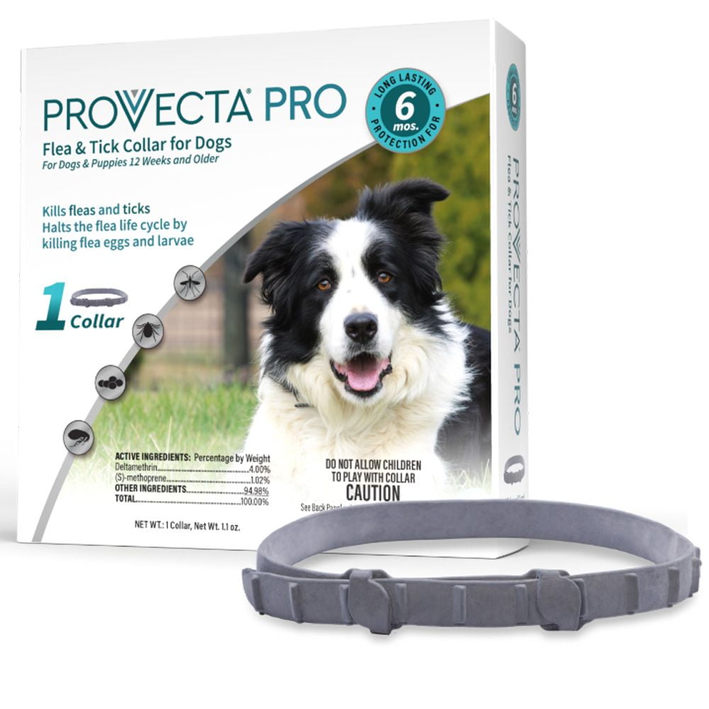 Provecta Pro Flea & Tick Collar for Dogs 12 Weeks & Older - 6-Month ...