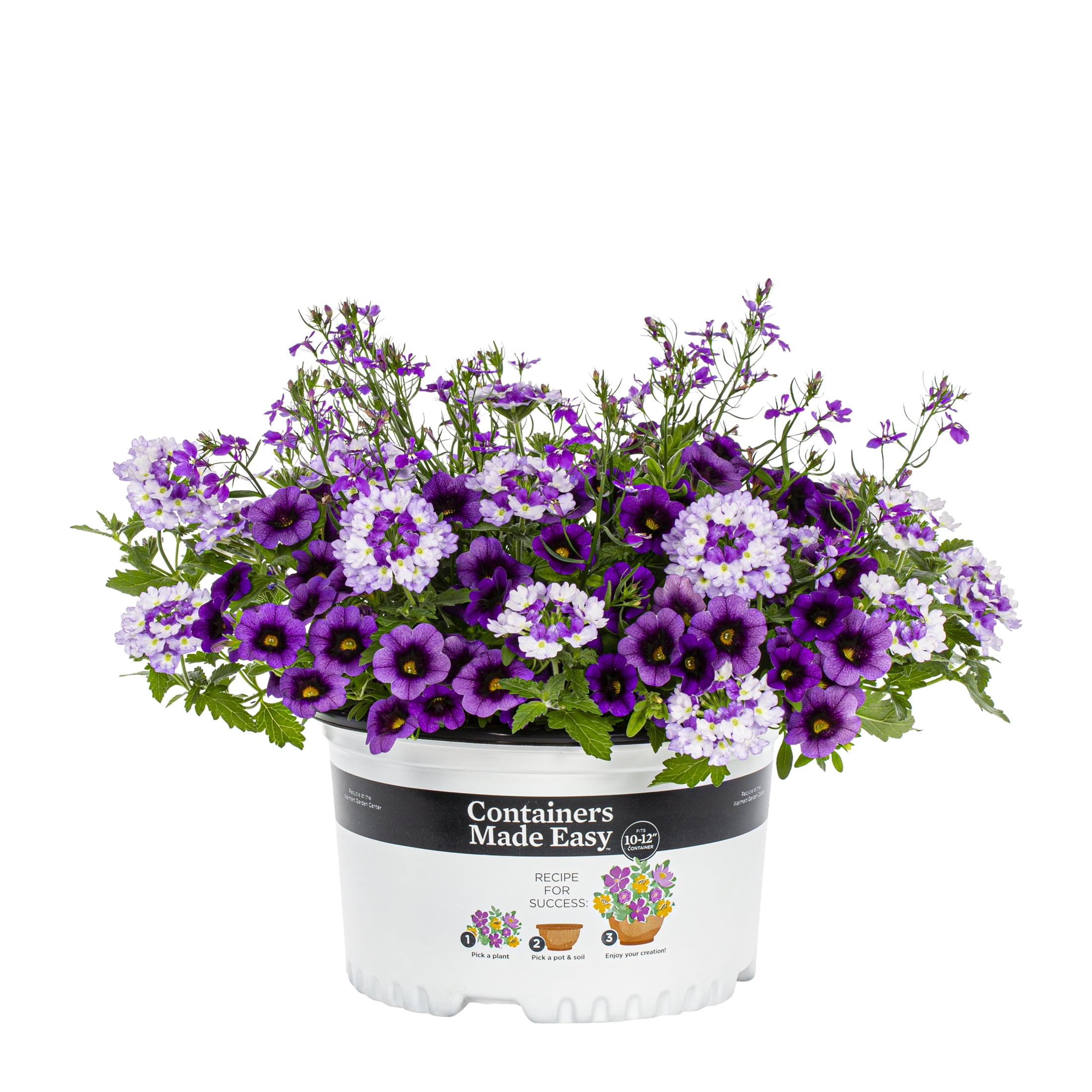 Proven Winners 1.5gal Sparkle and Glow Mix Live Annual Plant Sun ...
