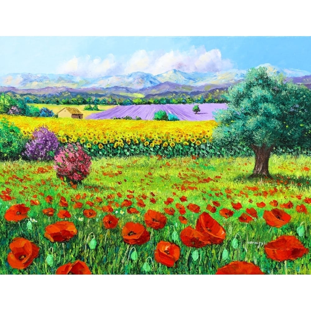 Provencal Flowers Poster Print by Jean-Marc Janiaczyk (32 x 24 ...