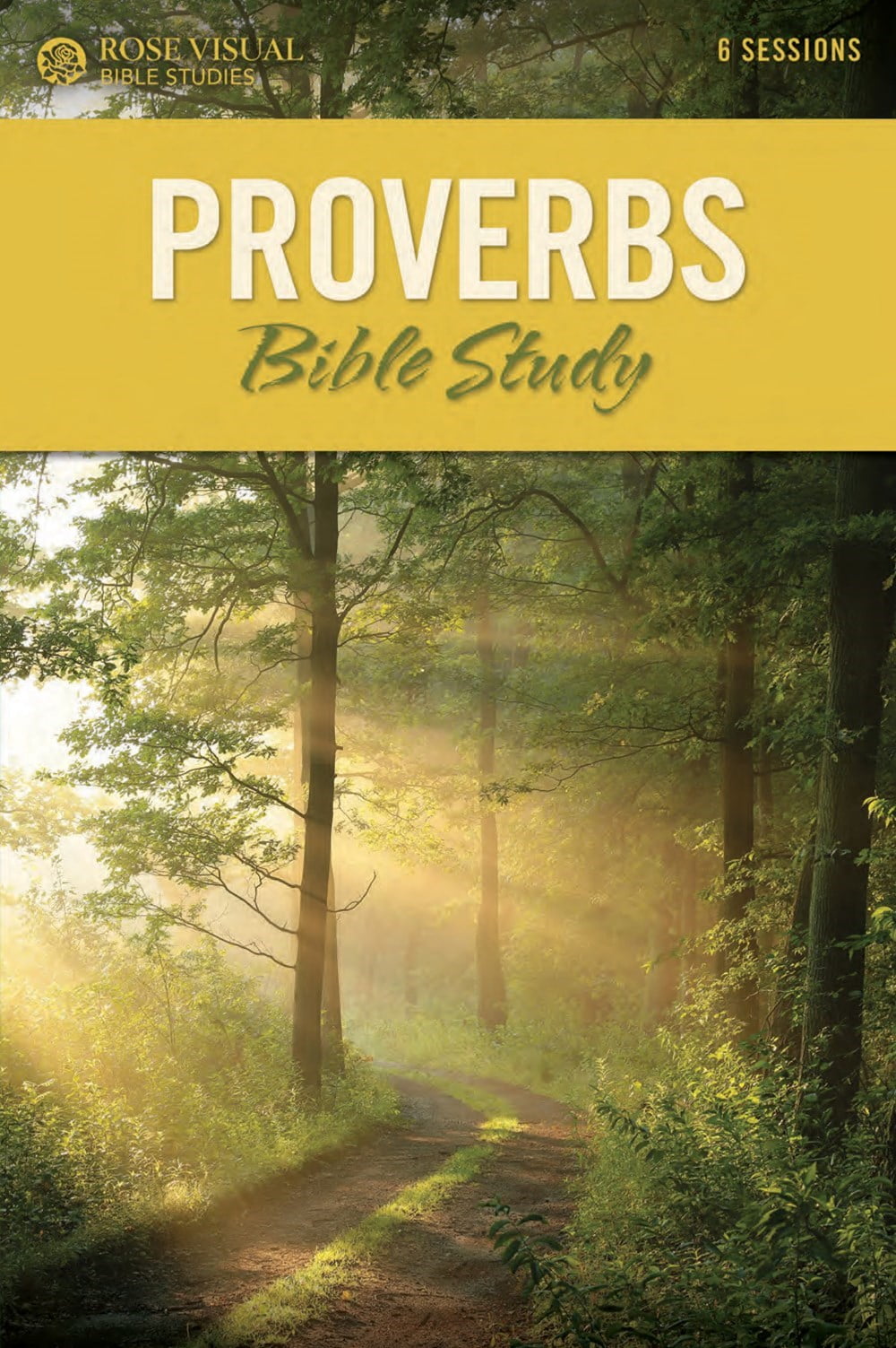 Proverbs (Rose Visual Bible Studies) - Walmart.com