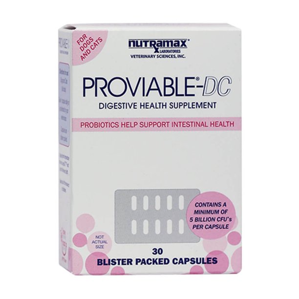 Proviable Digestive Health Supplement DC Capsules for Cats and Dogs, 30 ...
