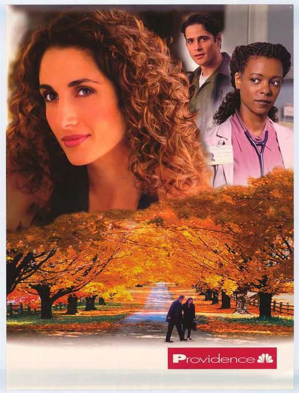 Providence - movie POSTER (Style A) (11" x 17") (1999) - Walmart.com