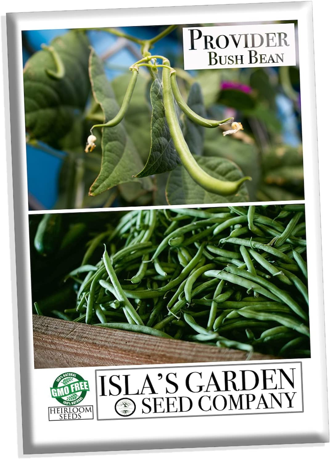 Provider Bush Green Bean Seeds for Planting, 30+ Heirloom Seeds Per Packet, (Isla's Garden Seeds ...