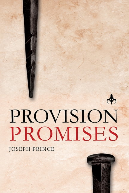 Provision Promises, (Paperback) - Walmart.com