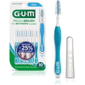 Dental Proxy Brushes