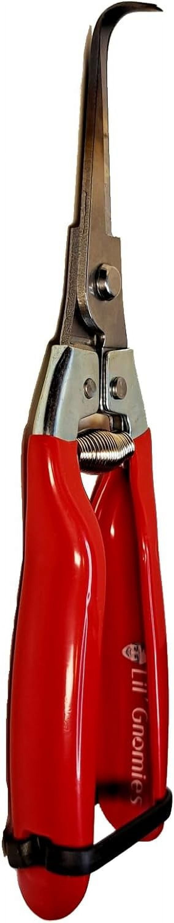 Pruner U Curved Angled Shears Pruning Scissors Dragon Fruit Cutting ...