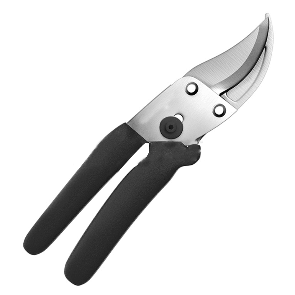 Pruning Shears For Gardening Tree Pruner, Tree Branch Flowering Bushes ...