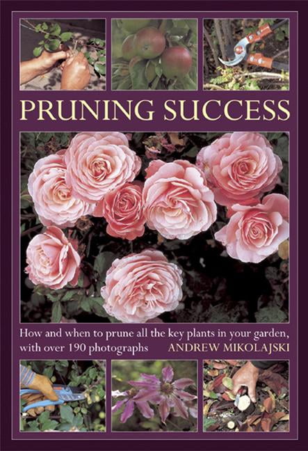 Pruning Success: How and when to prune all the key plants in your ...
