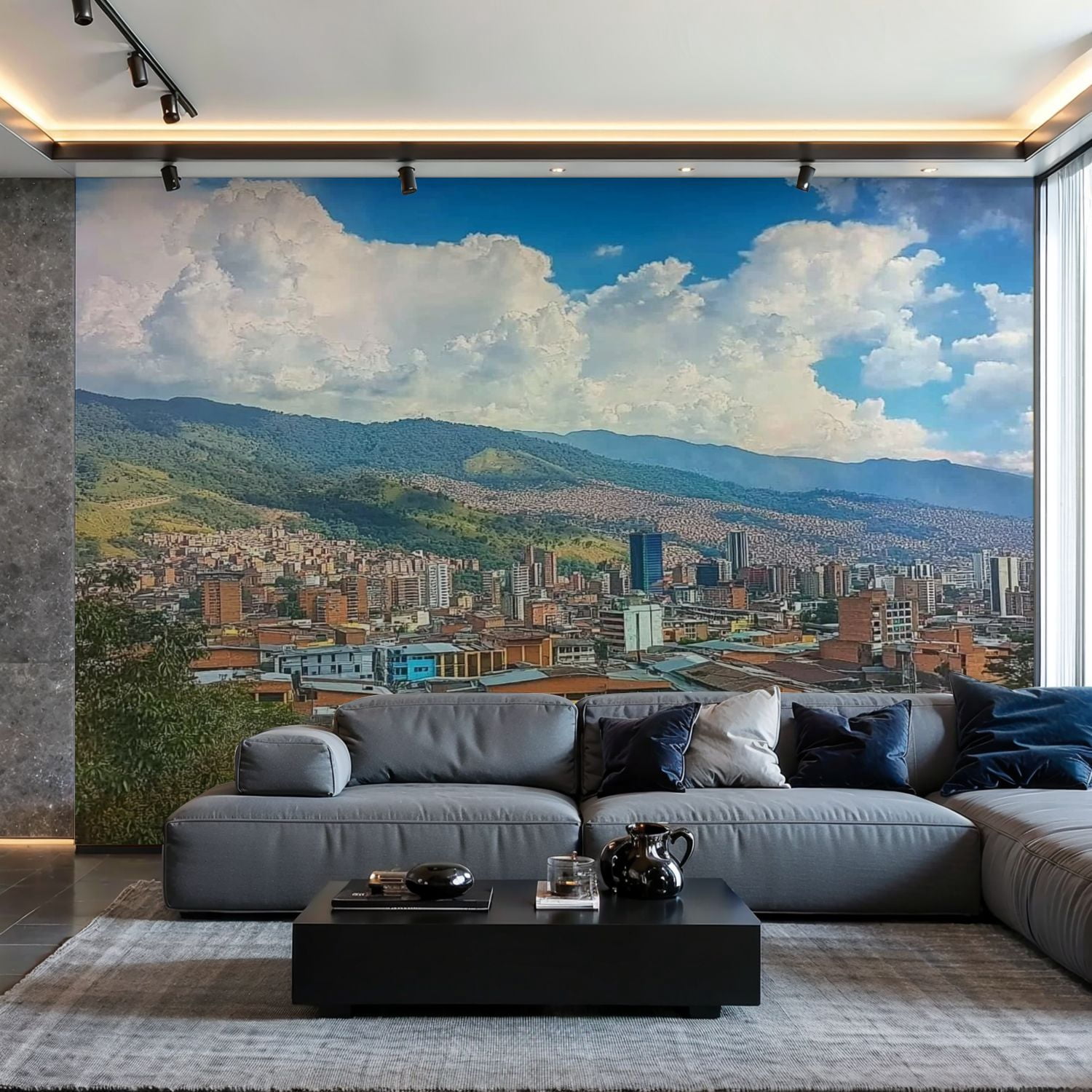 Prxcm Peel and Stick Canvas Wallpaper Aerial view buildings mountains ...