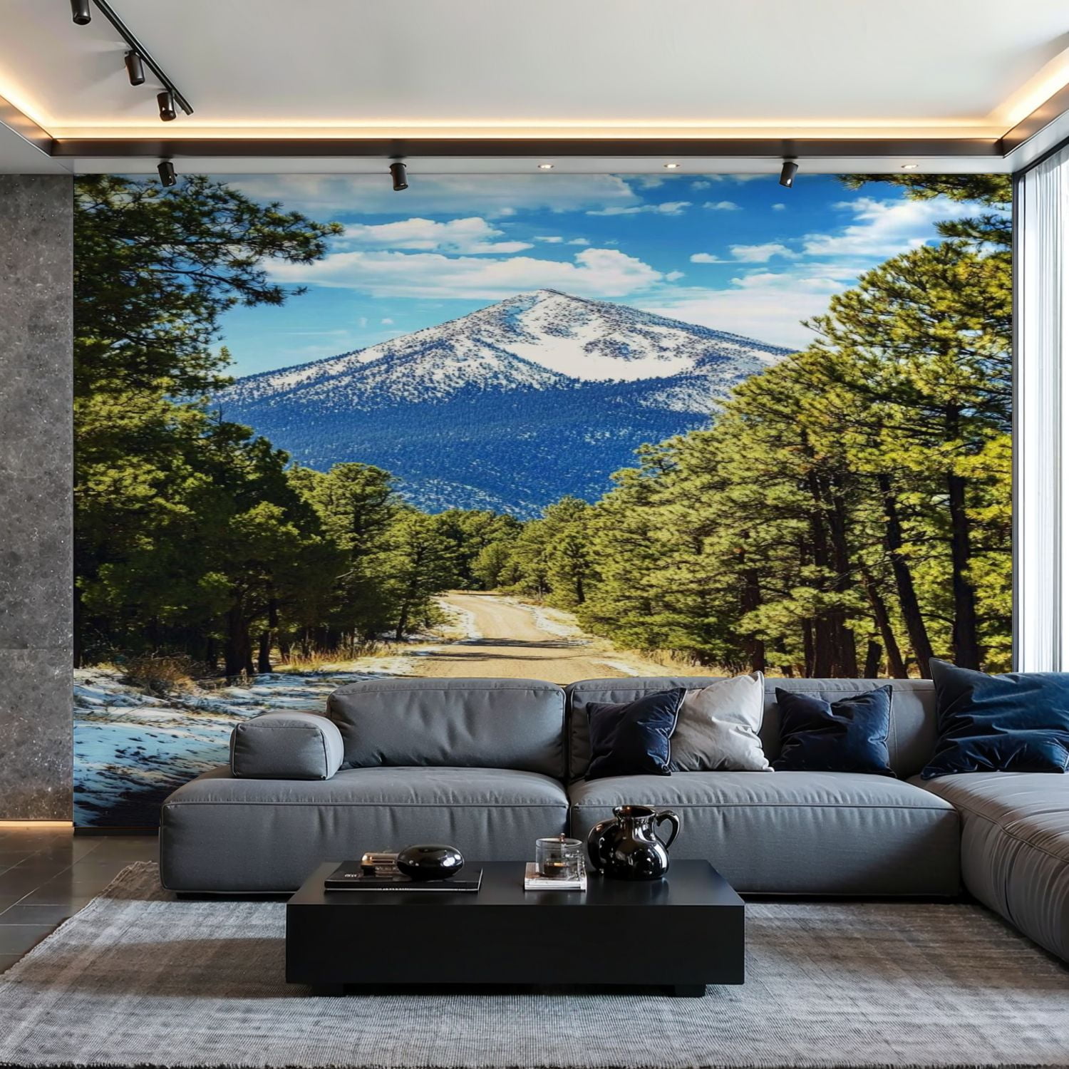 Prxcm Peel and Stick Canvas Wallpaper Flagstaff Road to Mountains Art ...
