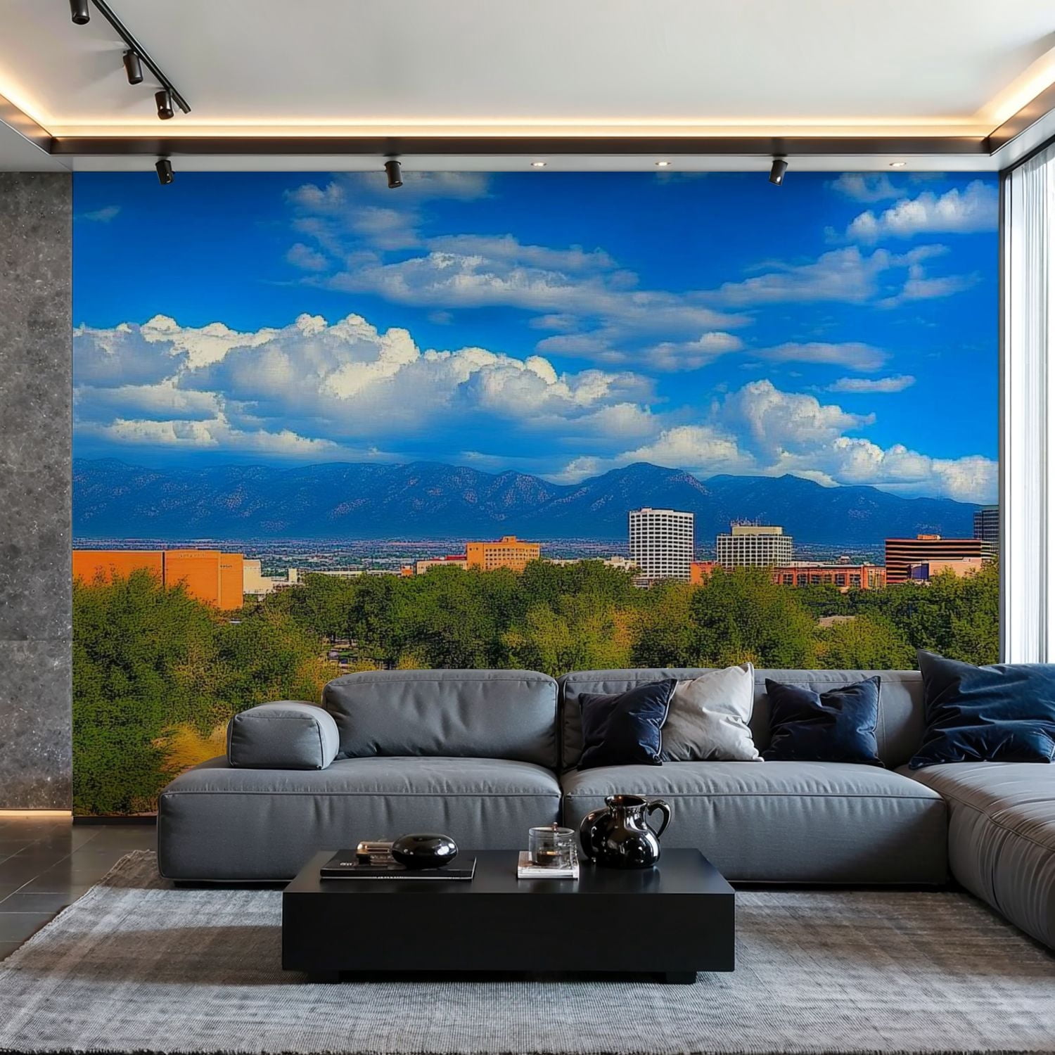 Prxcm Peel and Stick Canvas Wallpaper albuquerque skyline mountains ...