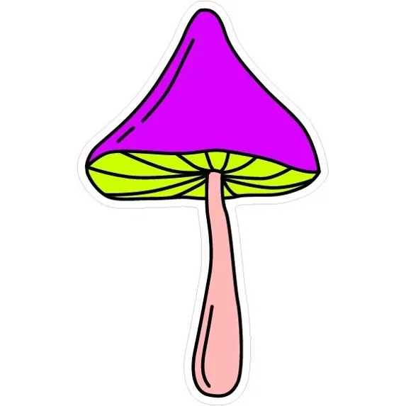Psychedelic Mushroom Sticker Window Decal Phone Decal Water Bottle ...