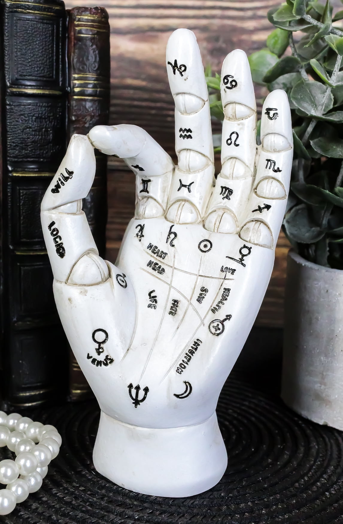 Psychic Fortune Teller Chirology Palmistry Hand Palm With Lines Mounts ...