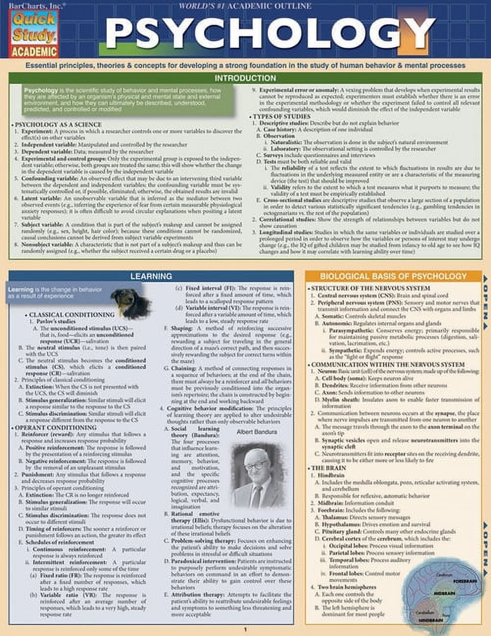Psychology : a QuickStudy Laminated Reference Guide (Other) - Walmart.com