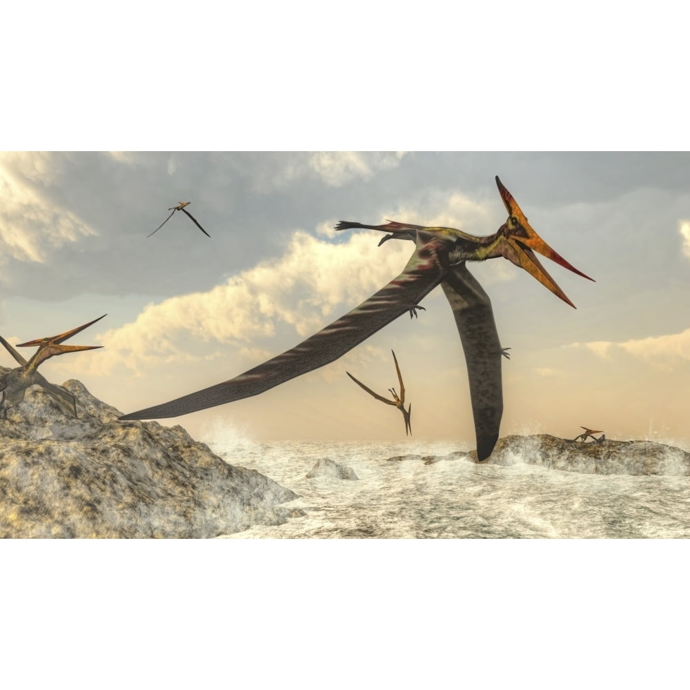 Pteranodon bird flying above ocean Poster Print - Walmart.com