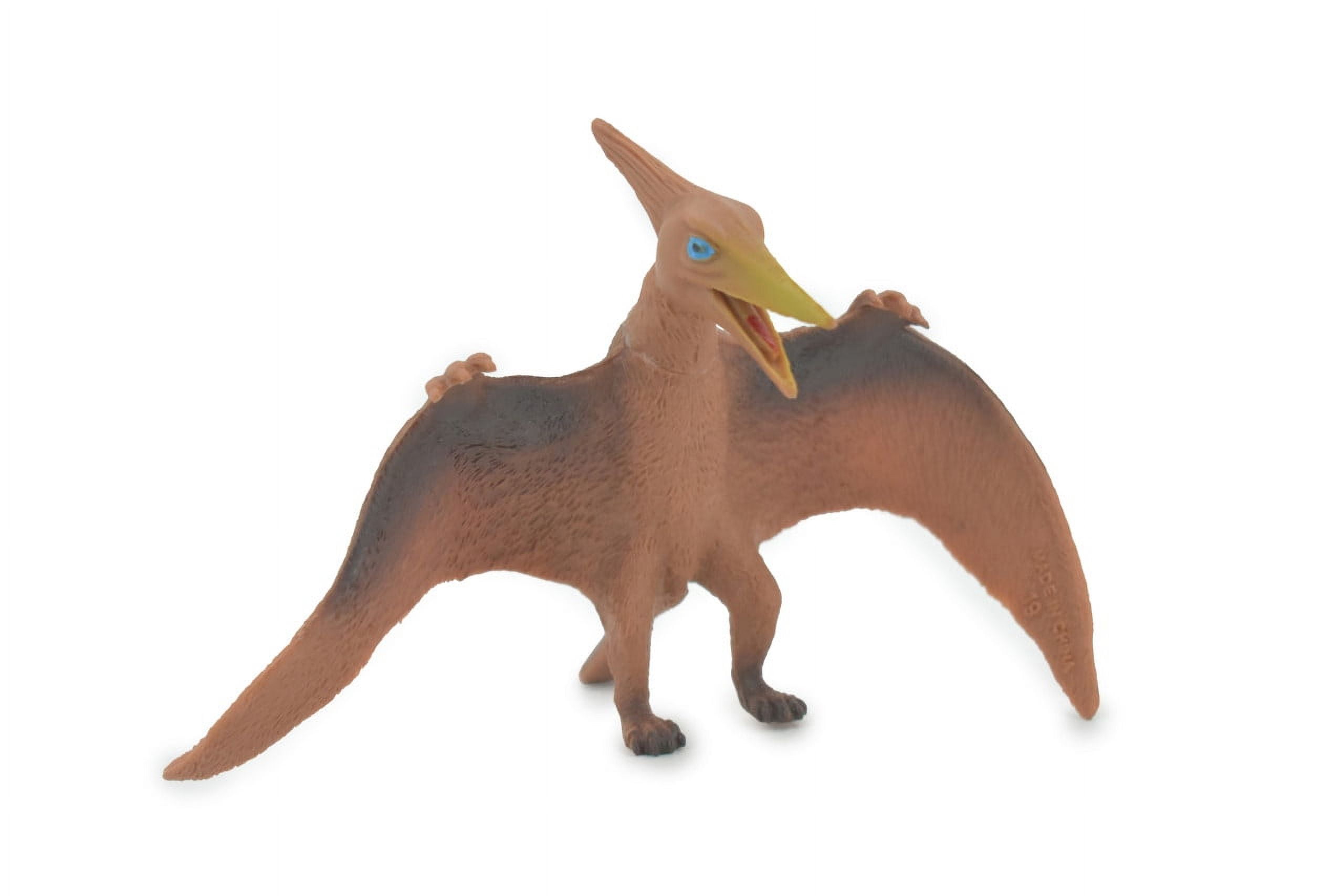 Pterodactyl, Extinct genus of Pterosaurs, Dinosaur, High Quality, Hand ...