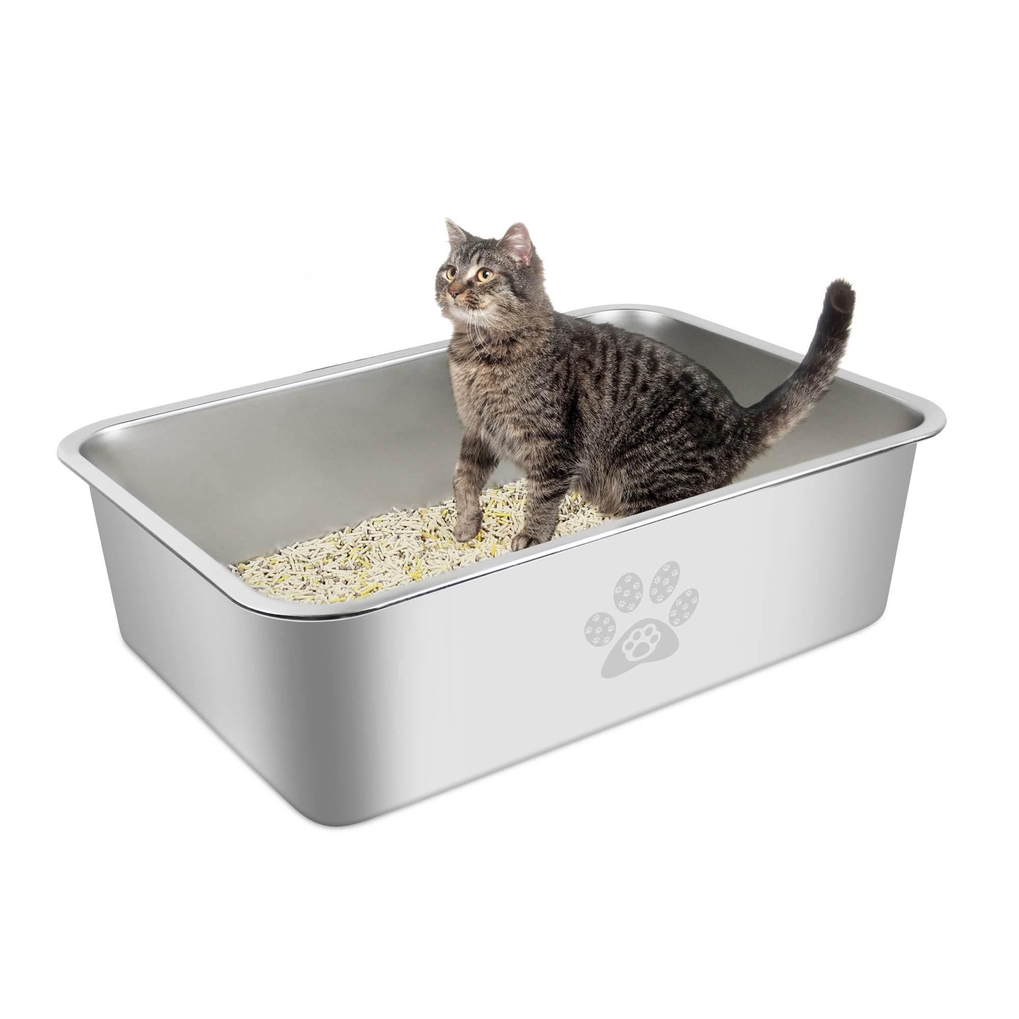 Van Ness Plastic Molding - High Sides Cat Pan- Assorted Large - CP2HS ...