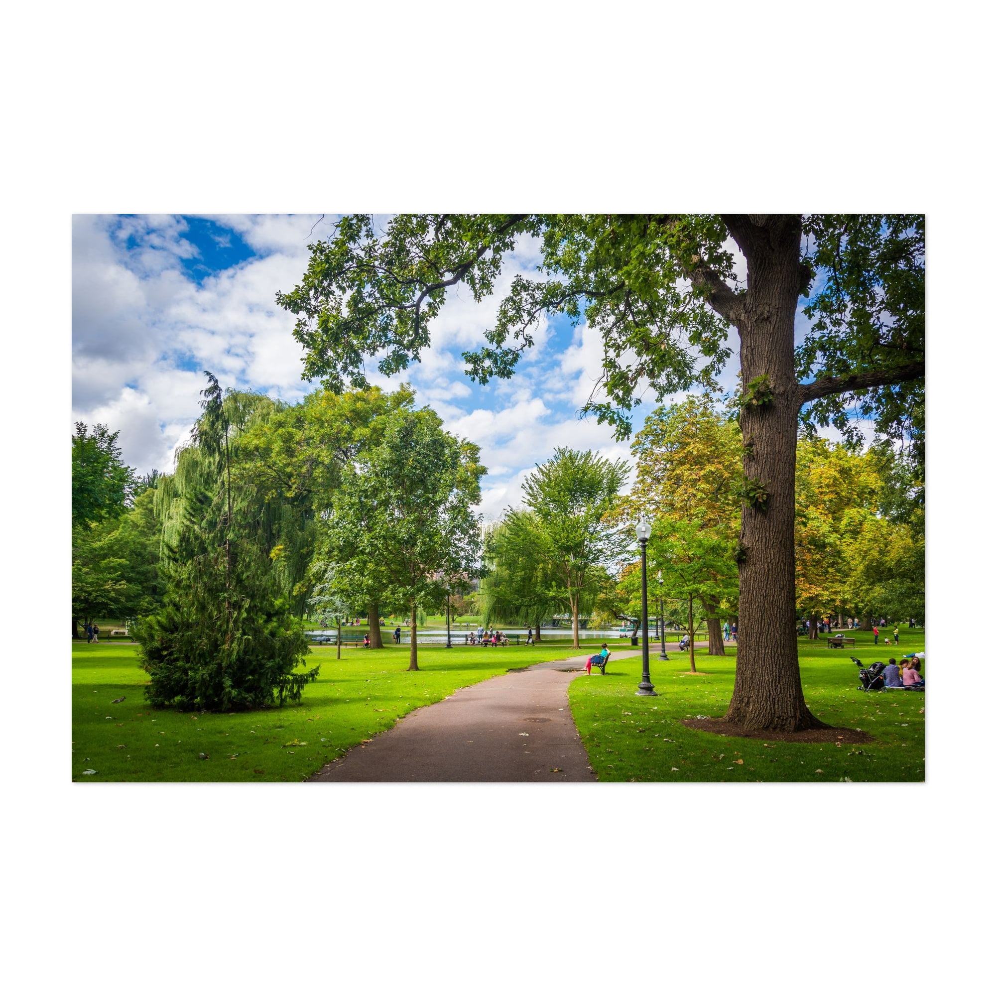 Public Garden Walkway 02 - Boston Massachusetts Photography Unframed ...