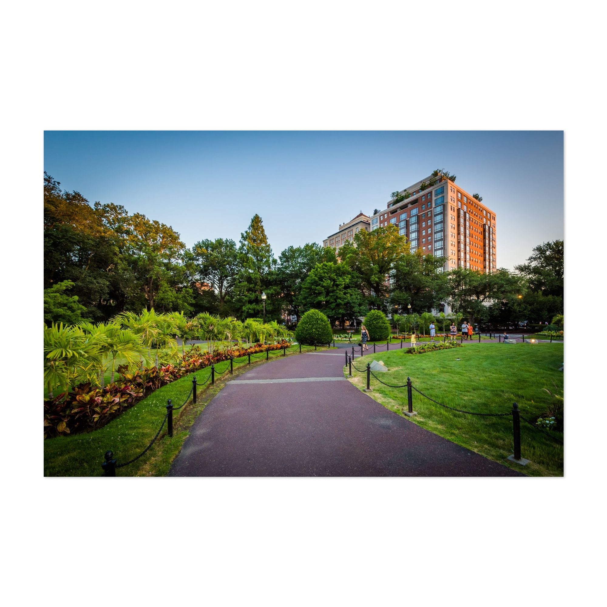 Public Garden Walkway - Boston Massachusetts Photography Unframed Wall ...