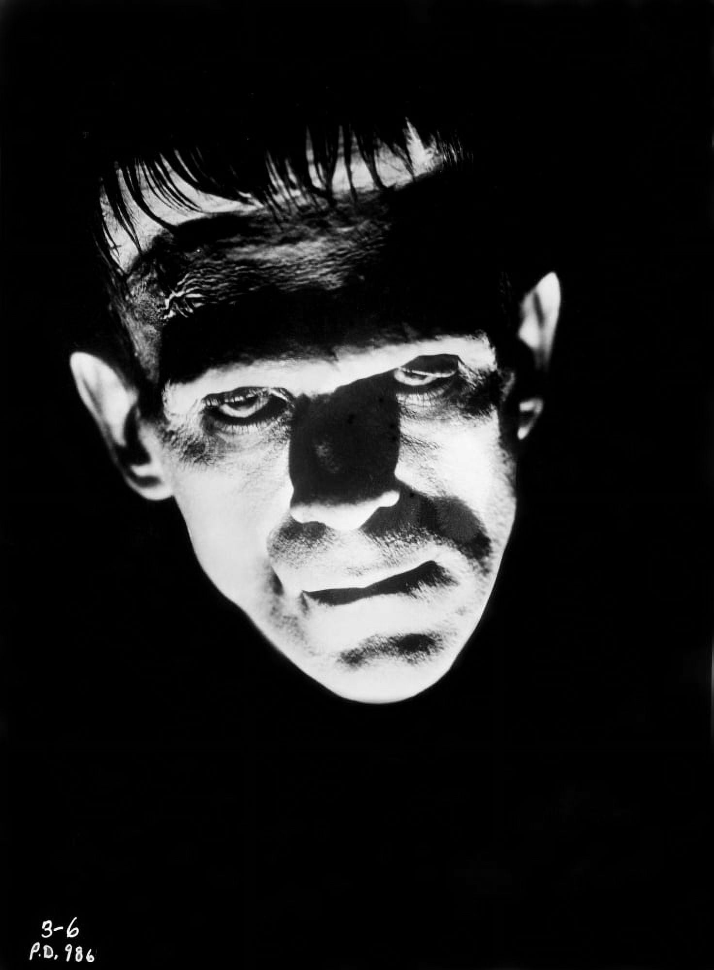 Publicity still for Frankenstein Photo Print (24 x 30) - Walmart.com