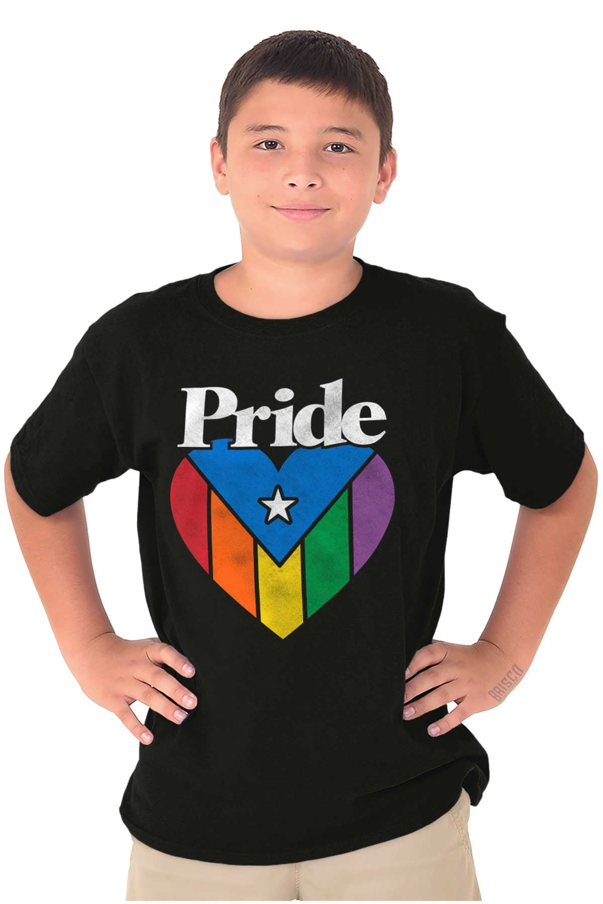 Puerto Rican Flag LGBTQ Pride Support Crewneck T Shirts Boy Girl Teen ...