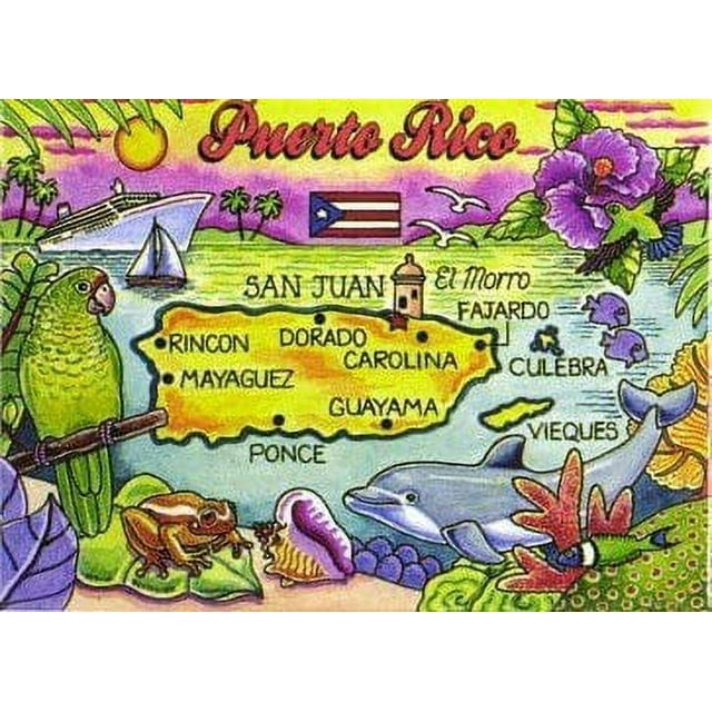 Puerto Rico Caribbean Fridge Collector's Souvenir Magnet 2.5 inches X 3 ...