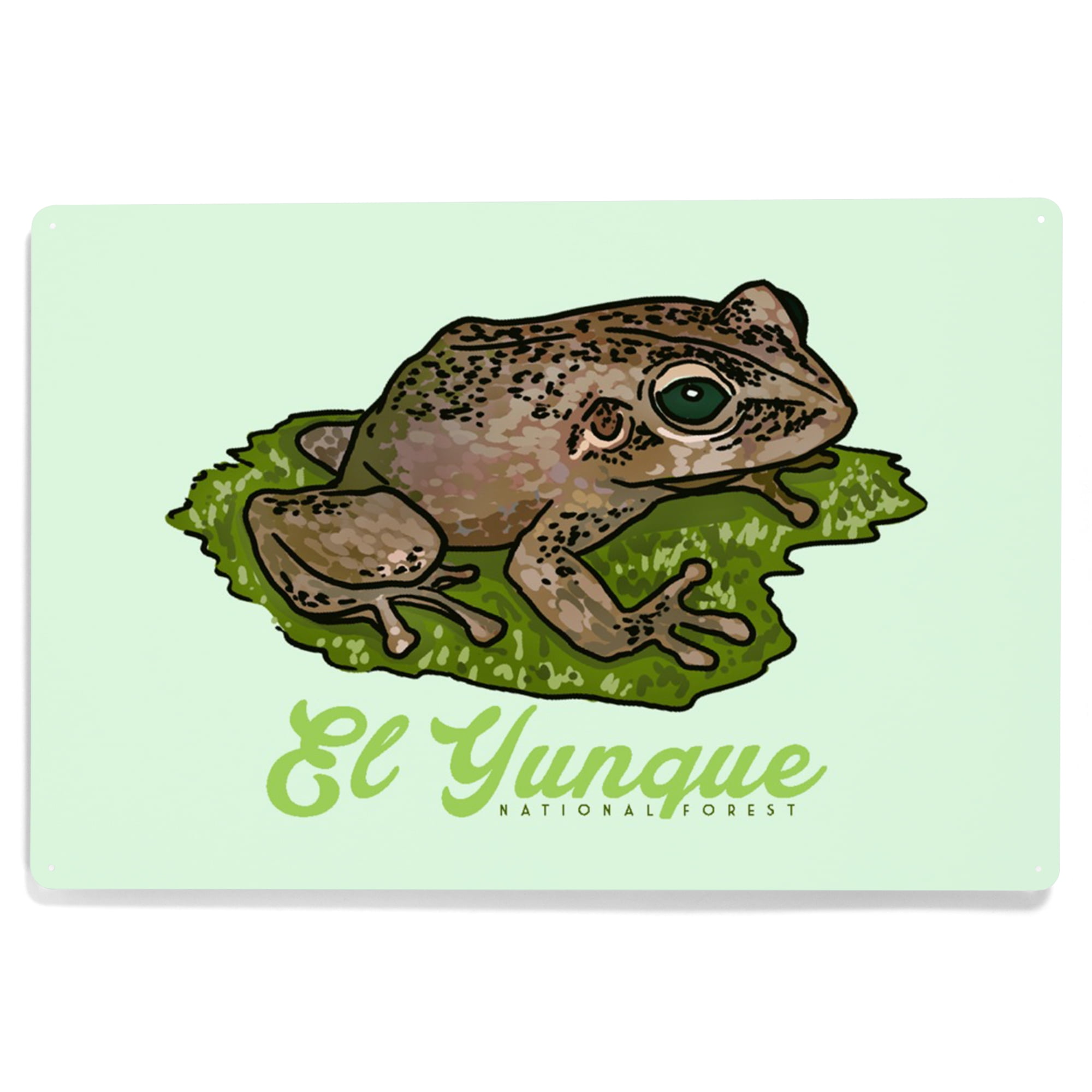 Puerto Rico, Dwarf Coqui, El Yunque National Forest, Green (12x18 ...