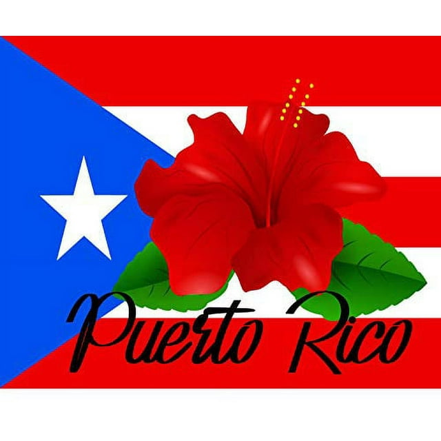 Puerto Rico Flag Sticker (Pack of 2) Vinyl Decal, Hibiscus Flower, "Amapola" - Walmart.com