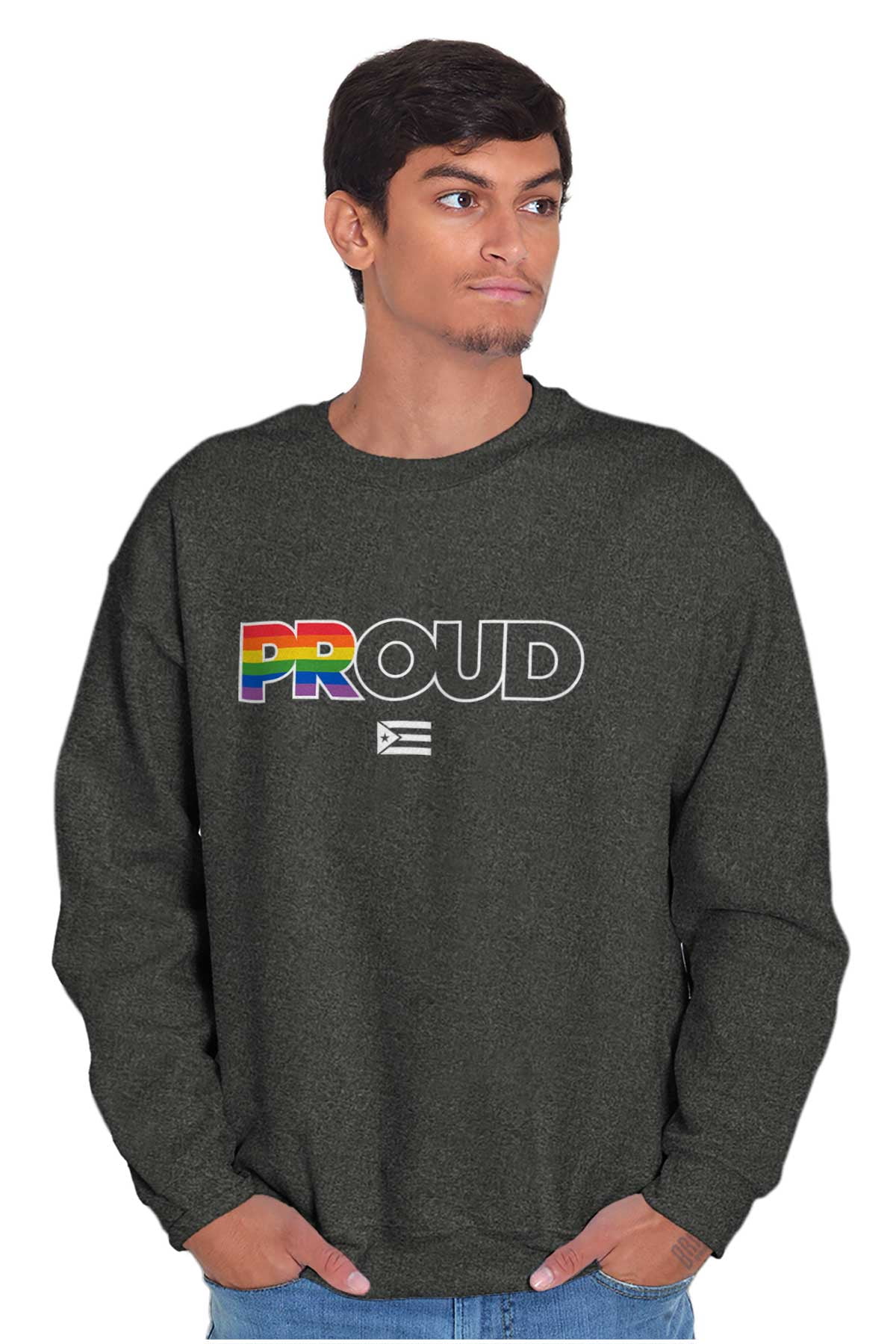 Puerto Rico LGBTQ Gay Pride Flag PR Sweatshirt for Men or Women Brisco ...