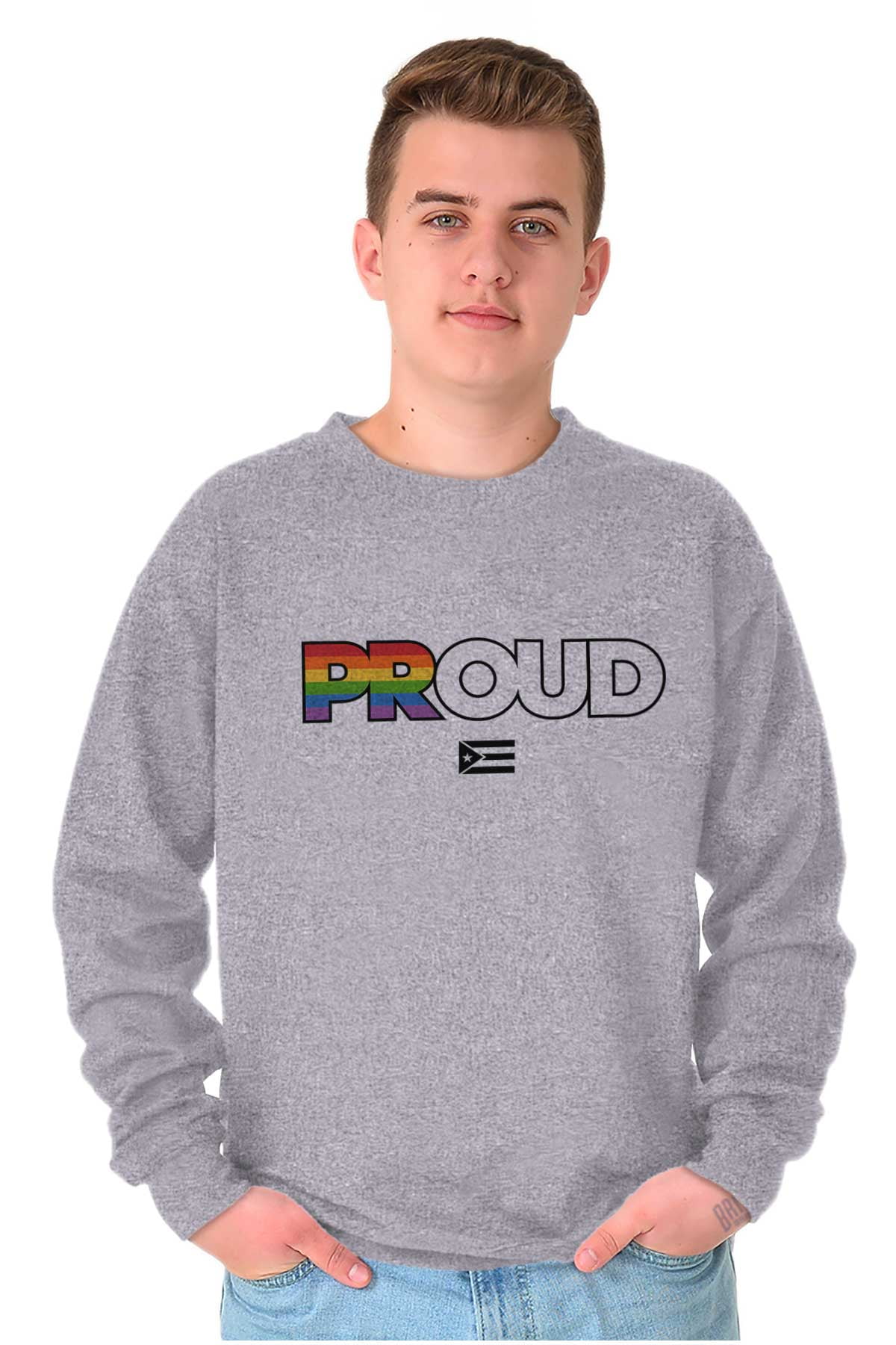 Puerto Rico LGBTQ Gay Pride Flag PR Unisex Plus Size Sweatshirt Brisco ...