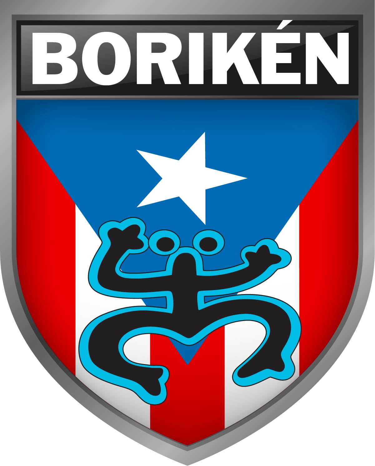 Puerto Rico Taino Flag Sticker Decal (Pack of 2) Puerto Rican Flag ...