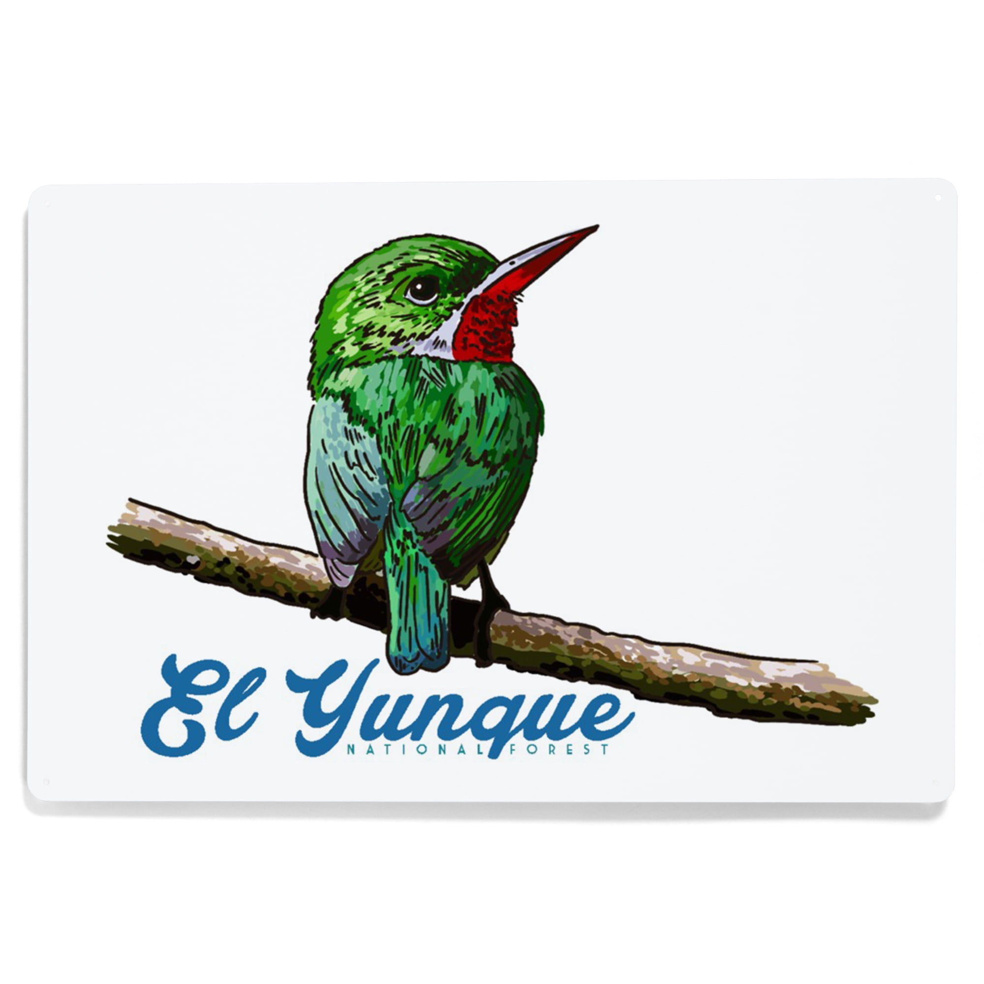 Puerto Rico, Tody, El Yunque National Forest (12x18 Aluminum Art ...