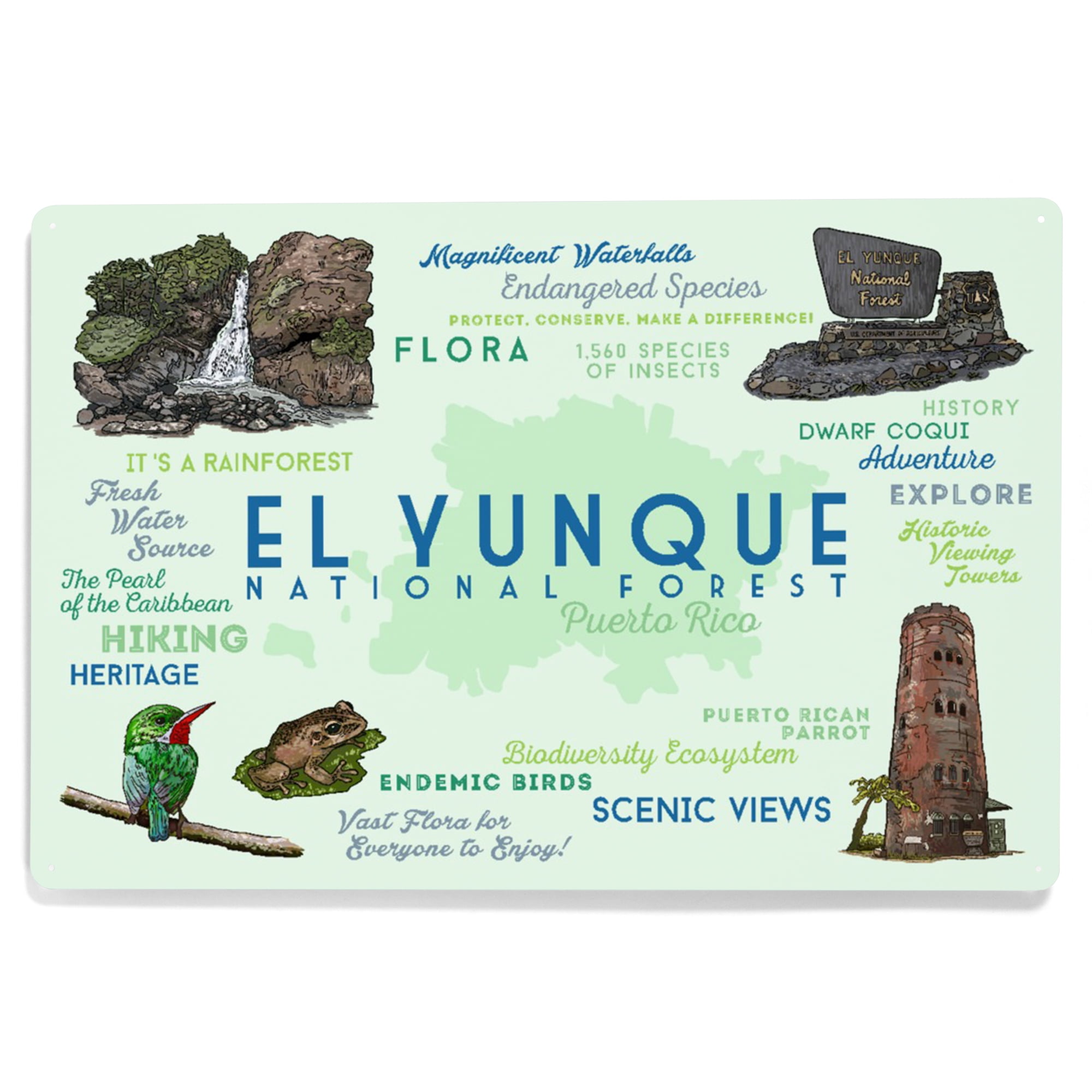 Puerto Rico, Typography and Icons, El Yunque National Forest (12x18 ...