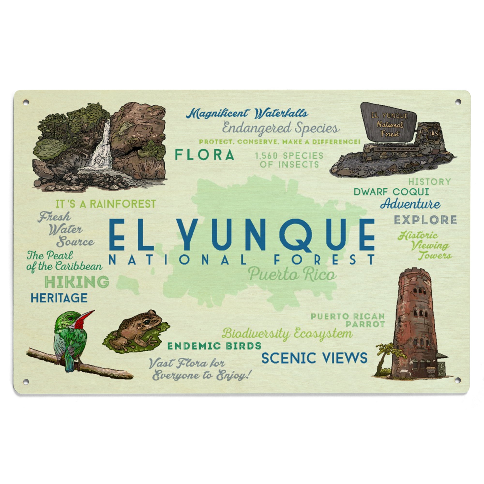 Puerto Rico, Typography and Icons, El Yunque National Forest Birch Wood ...