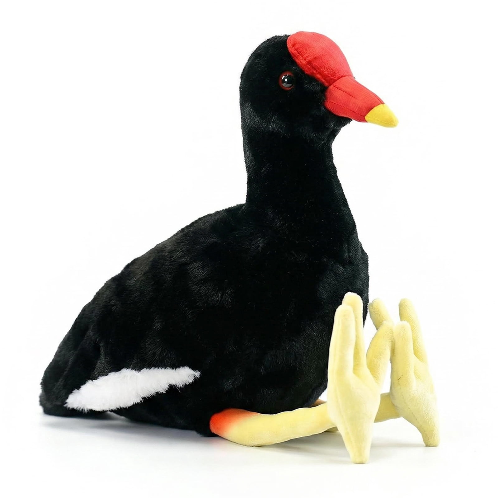 PuffPurrs Common Moorhen Plush – Lifelike 10in Wetland Bird Toy ...