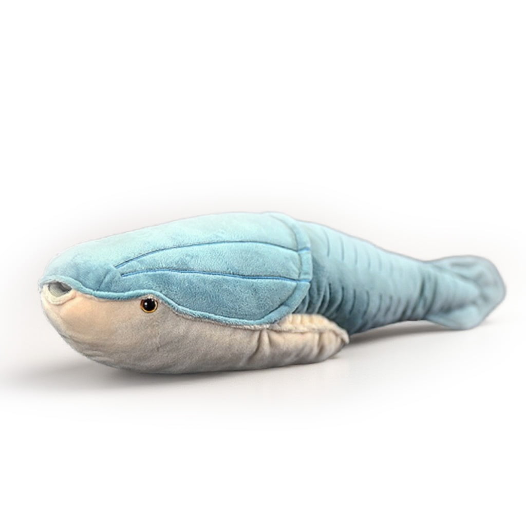 PuffPurrs Lifelike Arandaspis Prehistoric Fish Plush Toy, Realistic ...