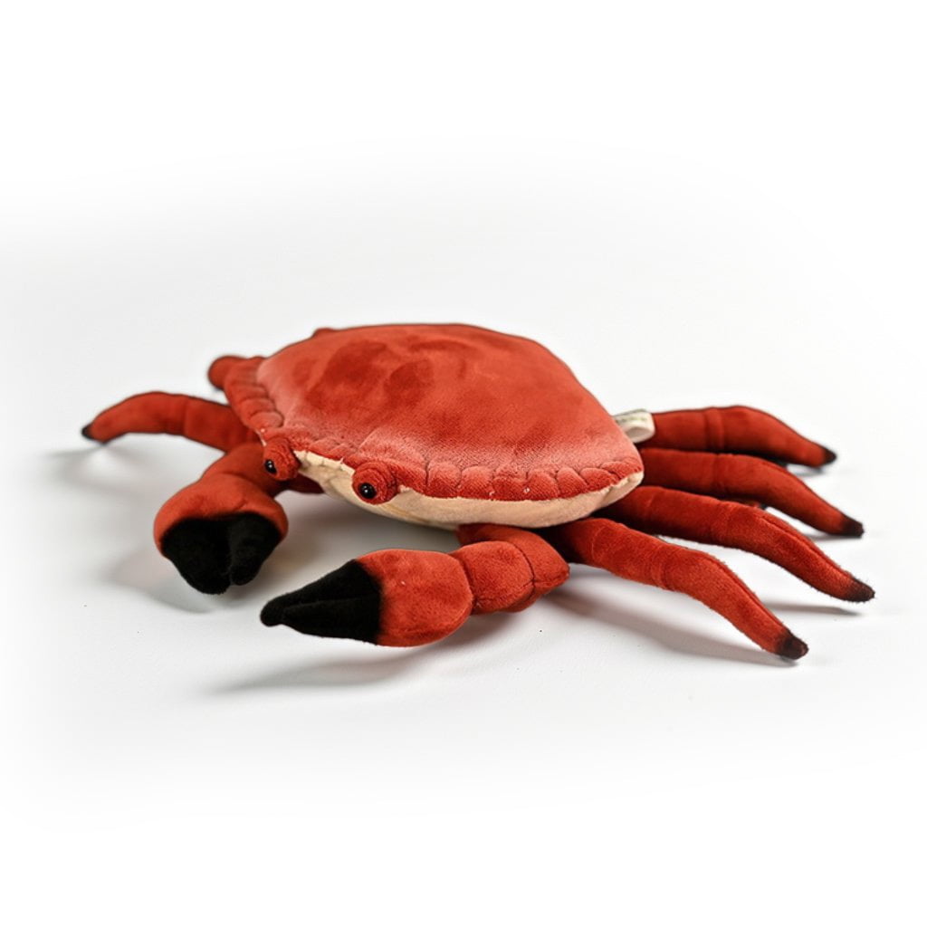 PuffPurrs Lifelike Bread Crab Plush Toy, Realistic Crab Stuffed Animal ...