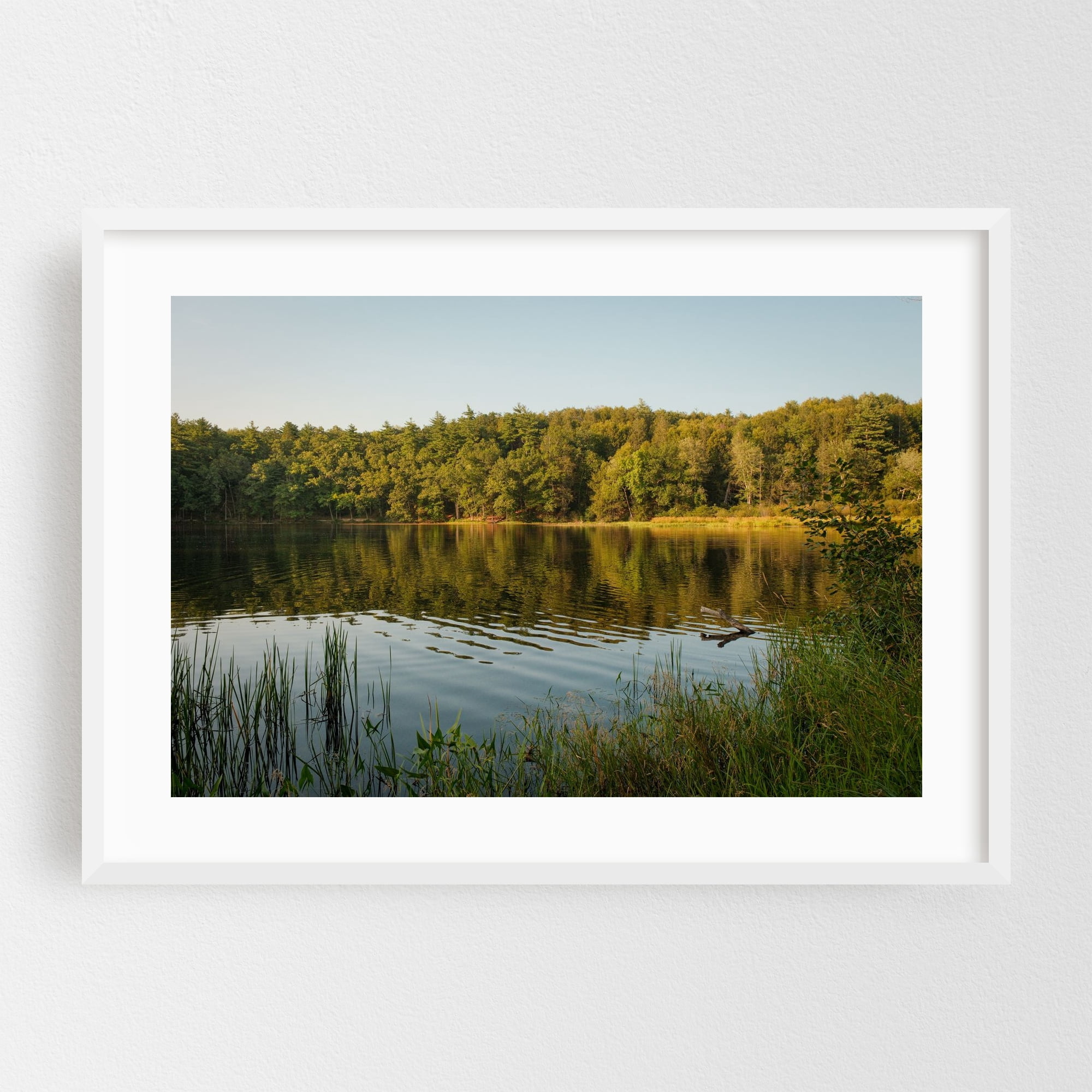 Puffers Pond, Amherst 02 - Amherst Massachusetts Photography Lake ...